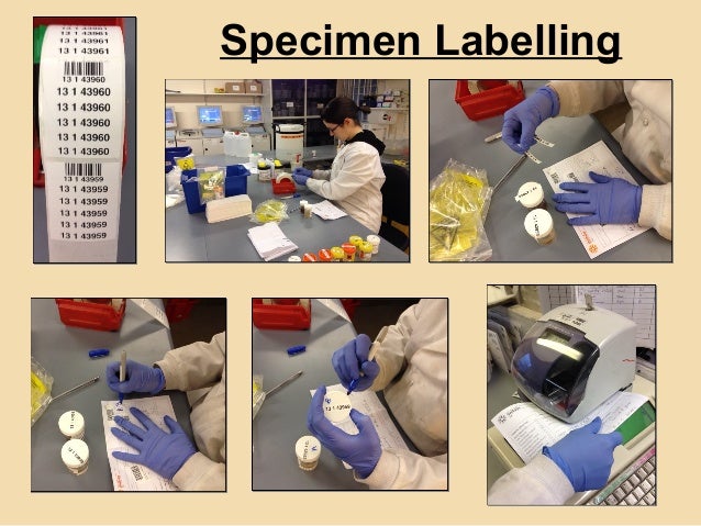 Histopathology In Practice - Sample Reception, Dissection, Processing…