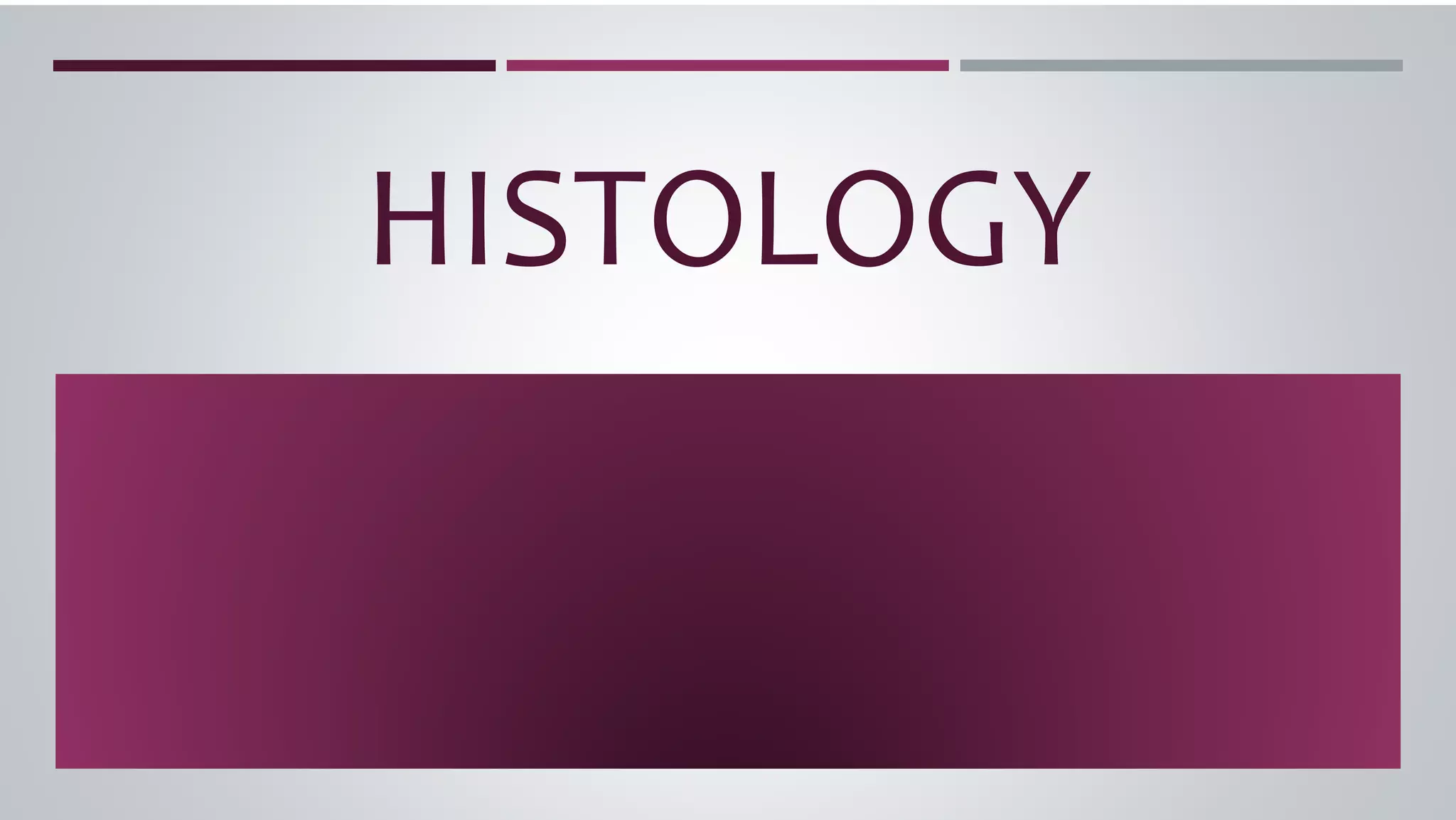 Histology practicals MBBS - slides to identify | PDF