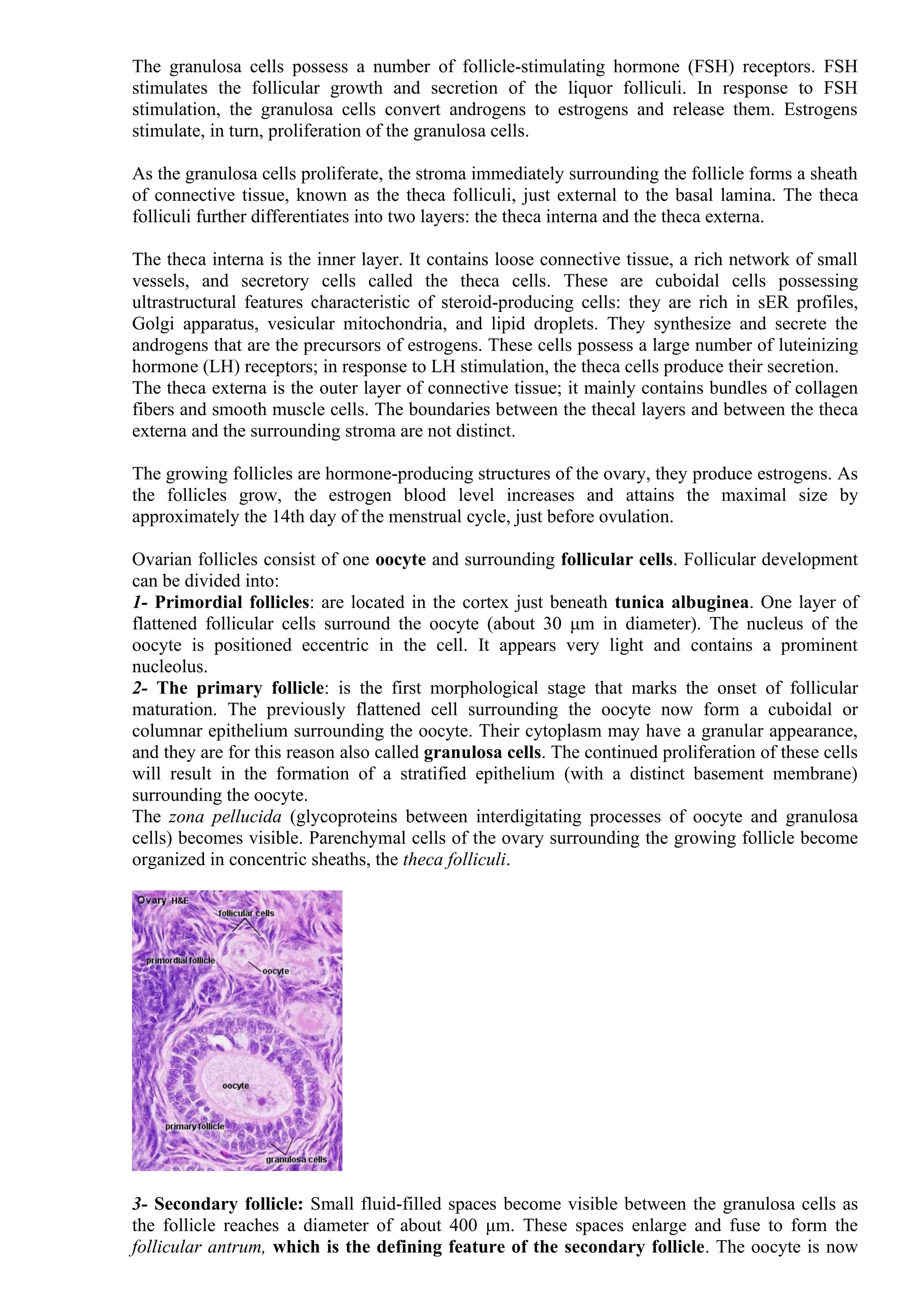 Histology | PDF