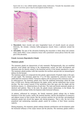 Histology | PDF
