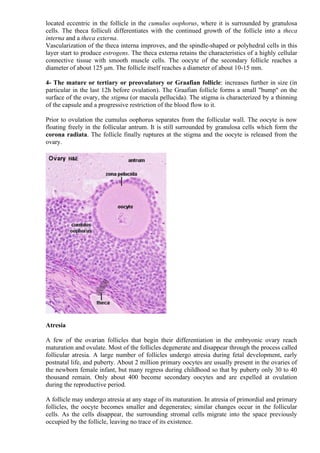 Histology | PDF | Reproductive Health | Diseases and Conditions
