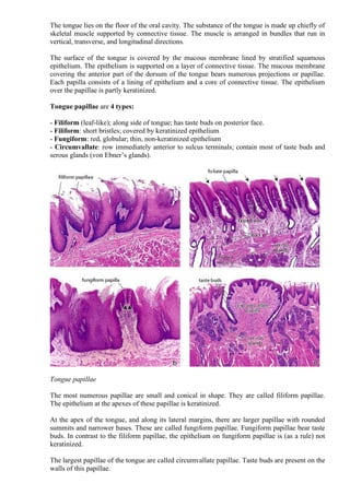 Histology | PDF