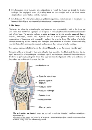 Histology | PDF