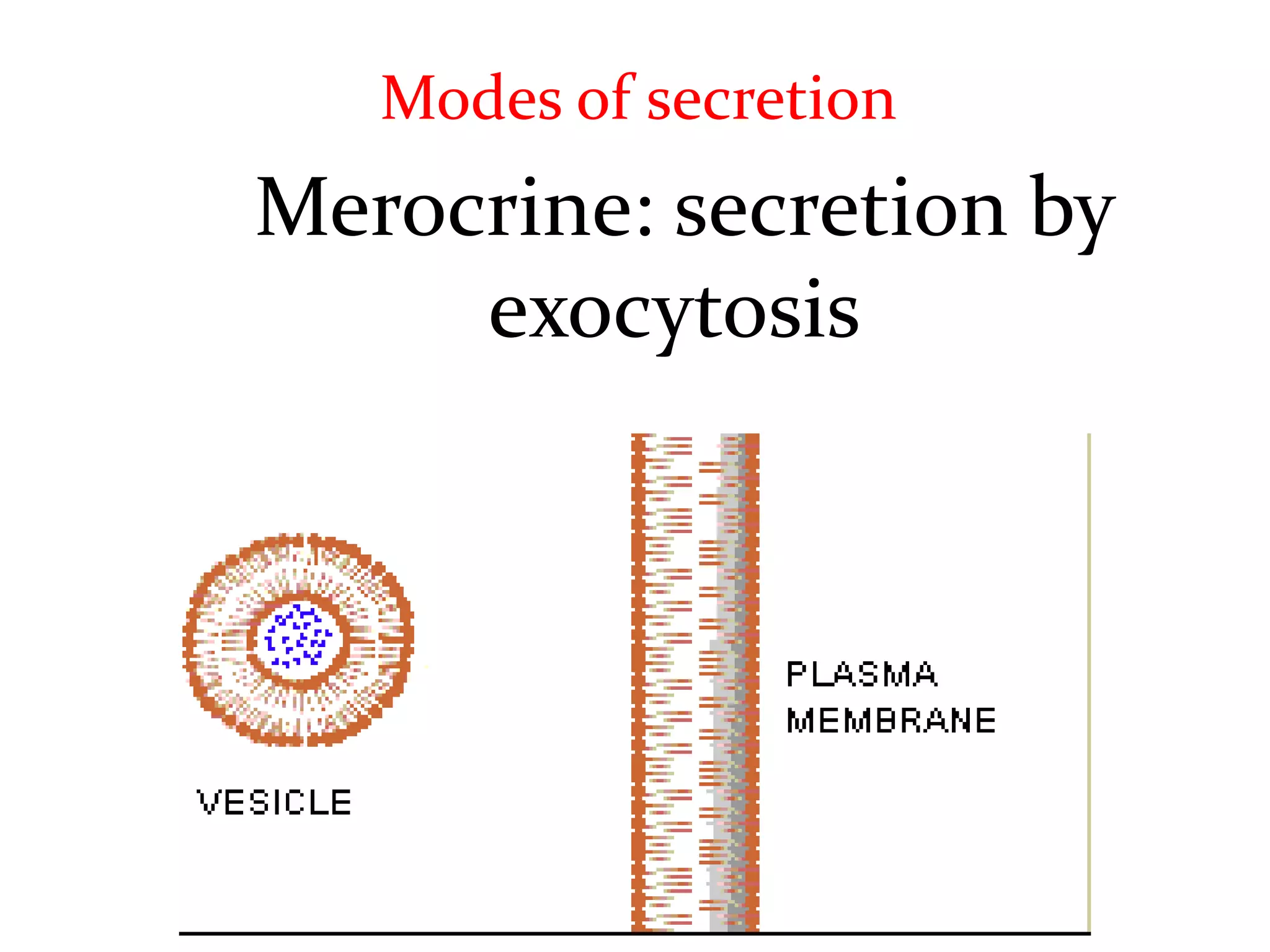 Histology_glands.pptx