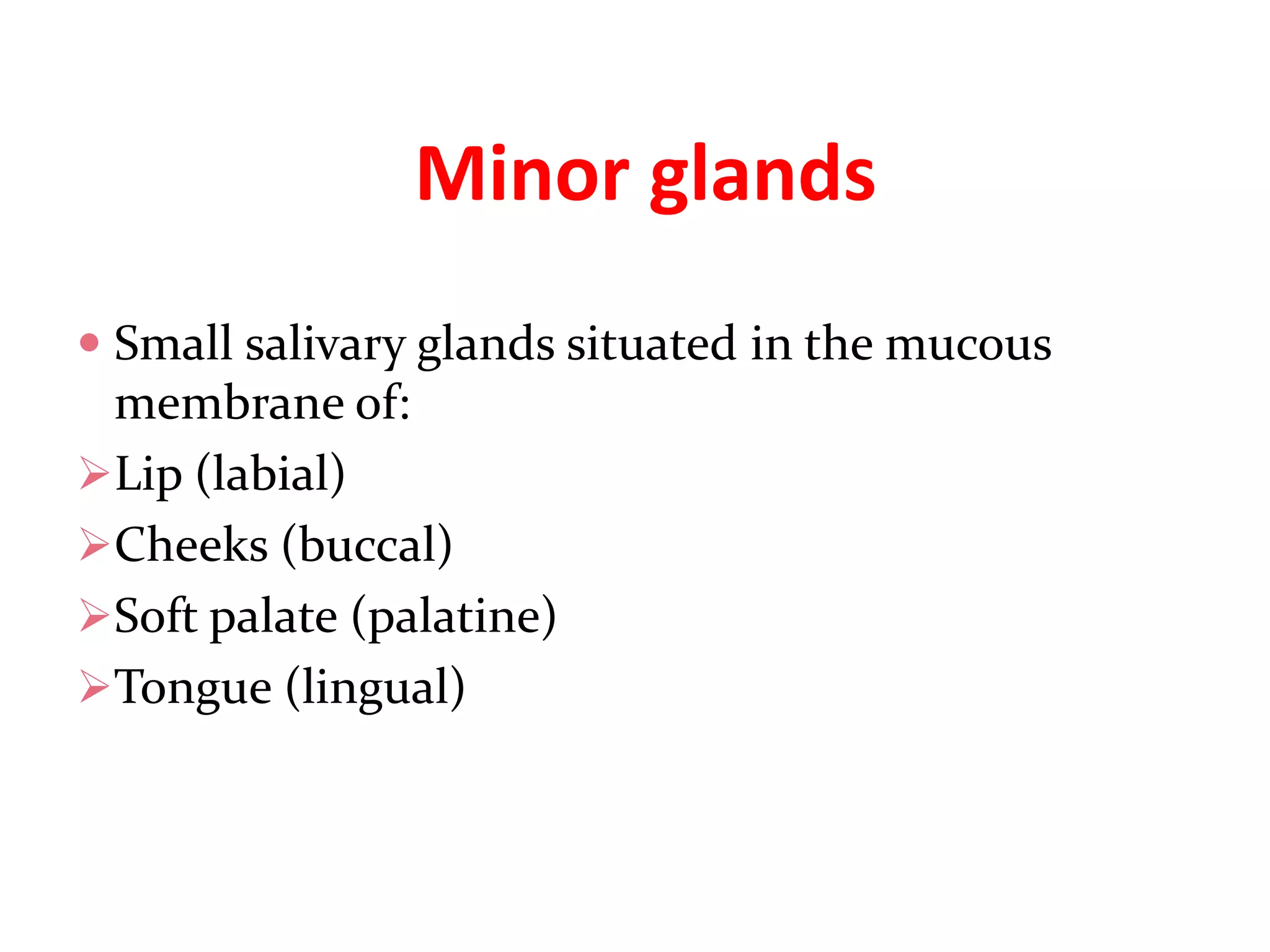 Histology_glands.pptx