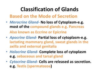 histology_glands_5-2-15.pptx