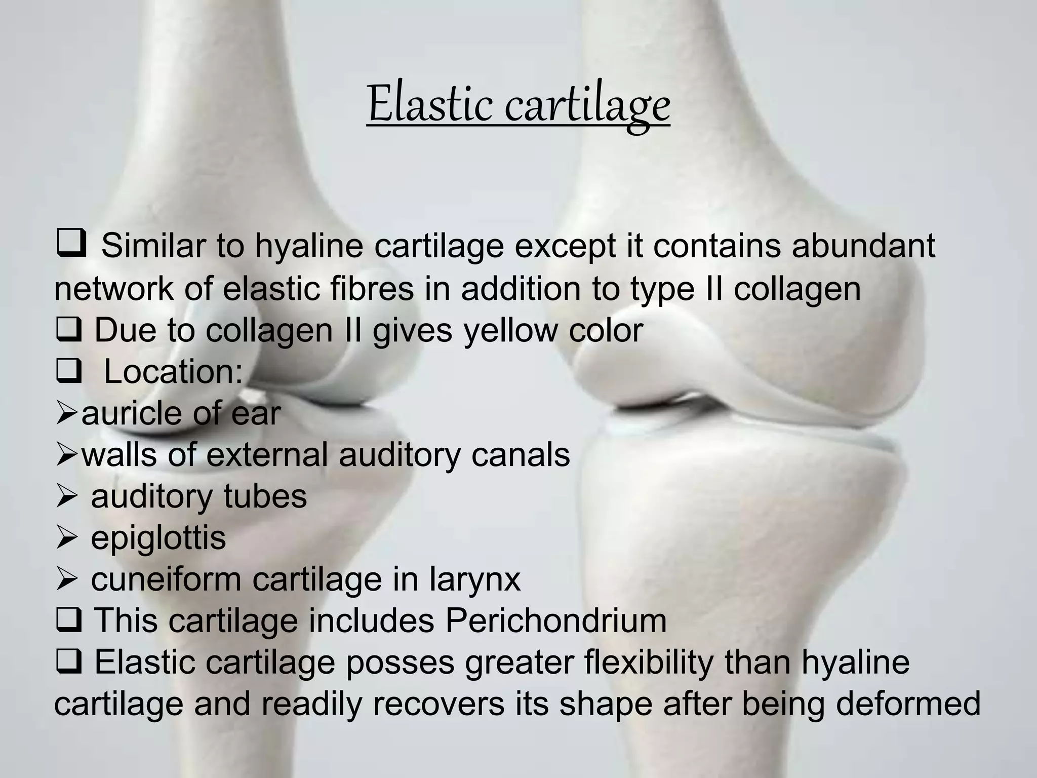 CARTILIAGE AGE AND HISTOLOGY REGENERATION OF BONE {HEMANT RAO} | PPTX ...