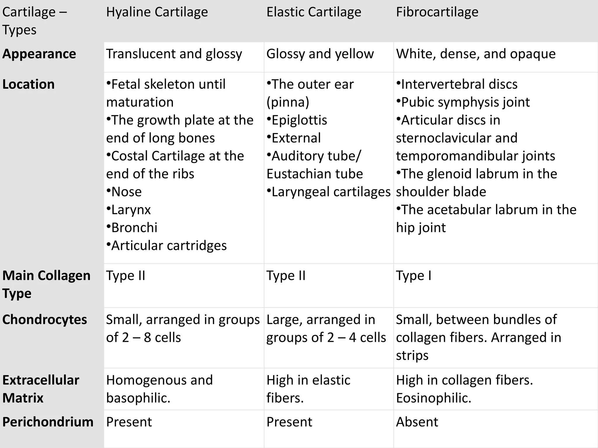 CARTILIAGE AGE AND HISTOLOGY REGENERATION OF BONE {HEMANT RAO} | PPTX ...