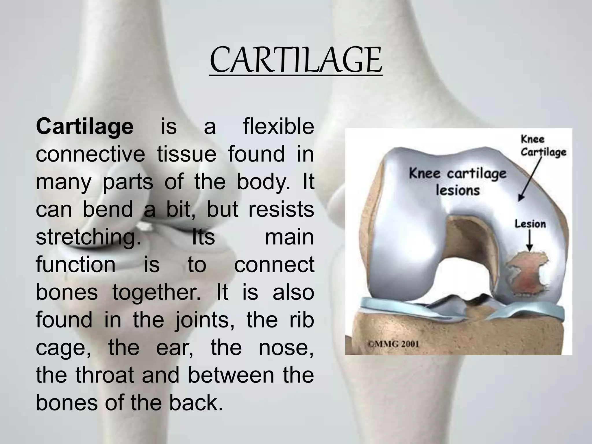 CARTILIAGE AGE AND HISTOLOGY REGENERATION OF BONE {HEMANT RAO} | PPTX ...