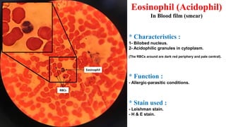 Histology (histology of blood) | PDF
