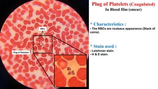 Histology (histology of blood) | PDF