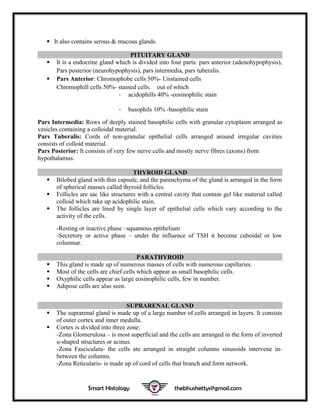 HISTOLOGY IDENTIFICATION POINTS FOR SLIDES.doc