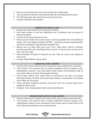 HISTOLOGY IDENTIFICATION POINTS FOR SLIDES.doc