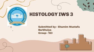 histology iws 3.pptx