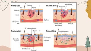 histology iws 3.pptx