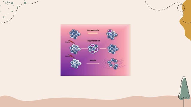 histology iws 3.pptx