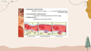 histology iws 3.pptx