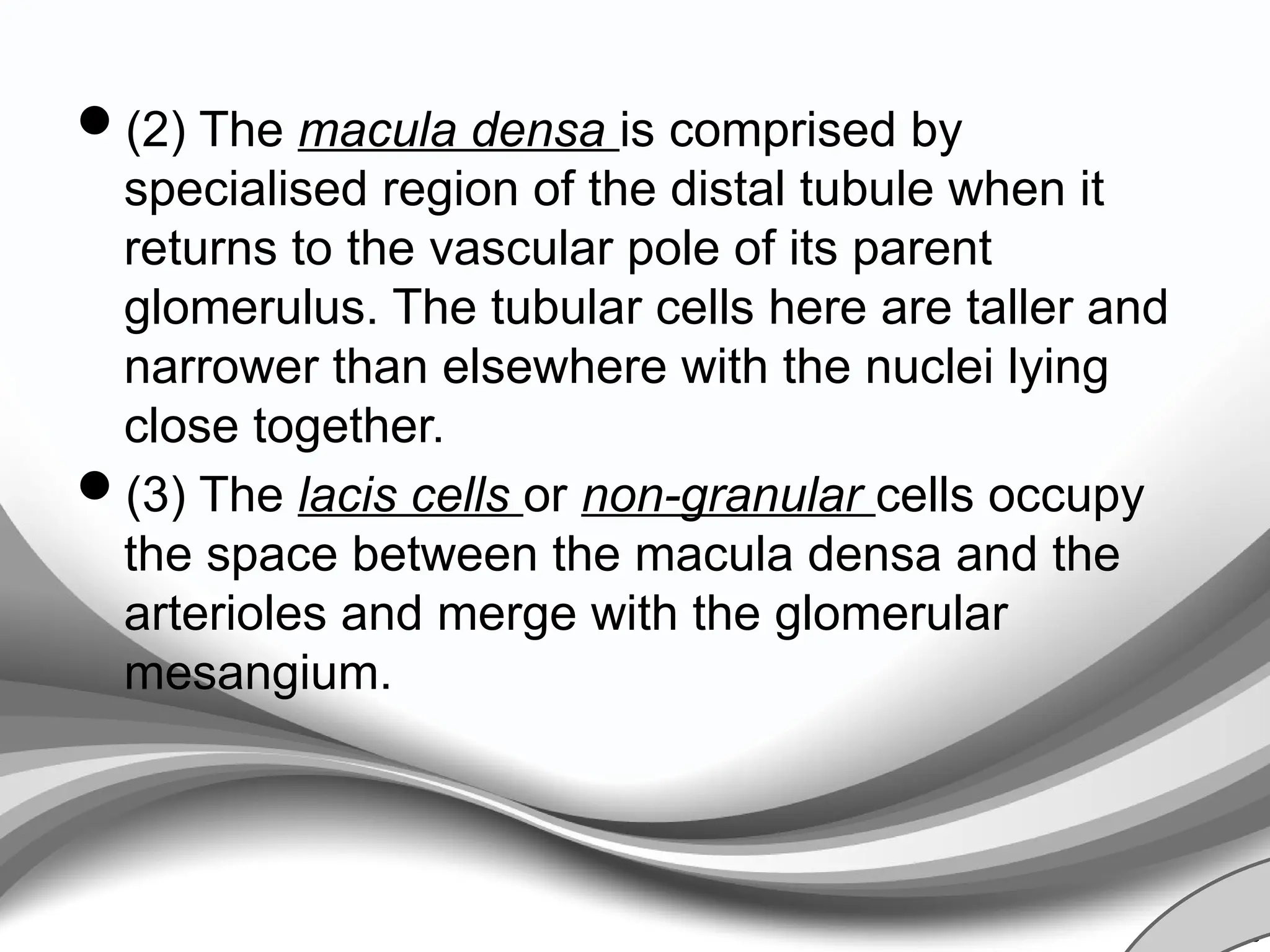 Histology of kidney.The parenchyma of each kidney is composed of ...