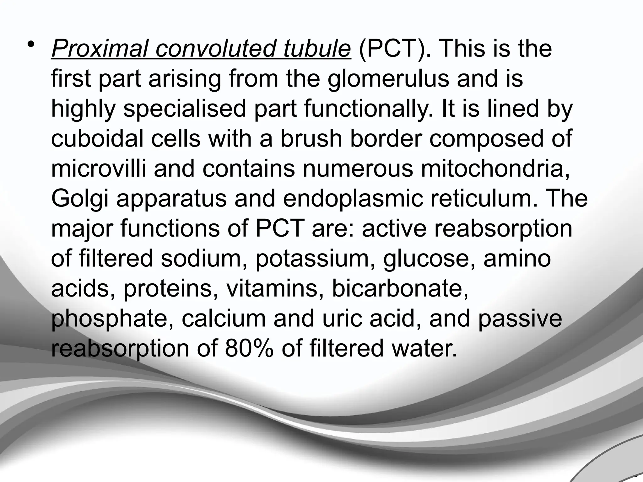 Histology of kidney.The parenchyma of each kidney is composed of ...