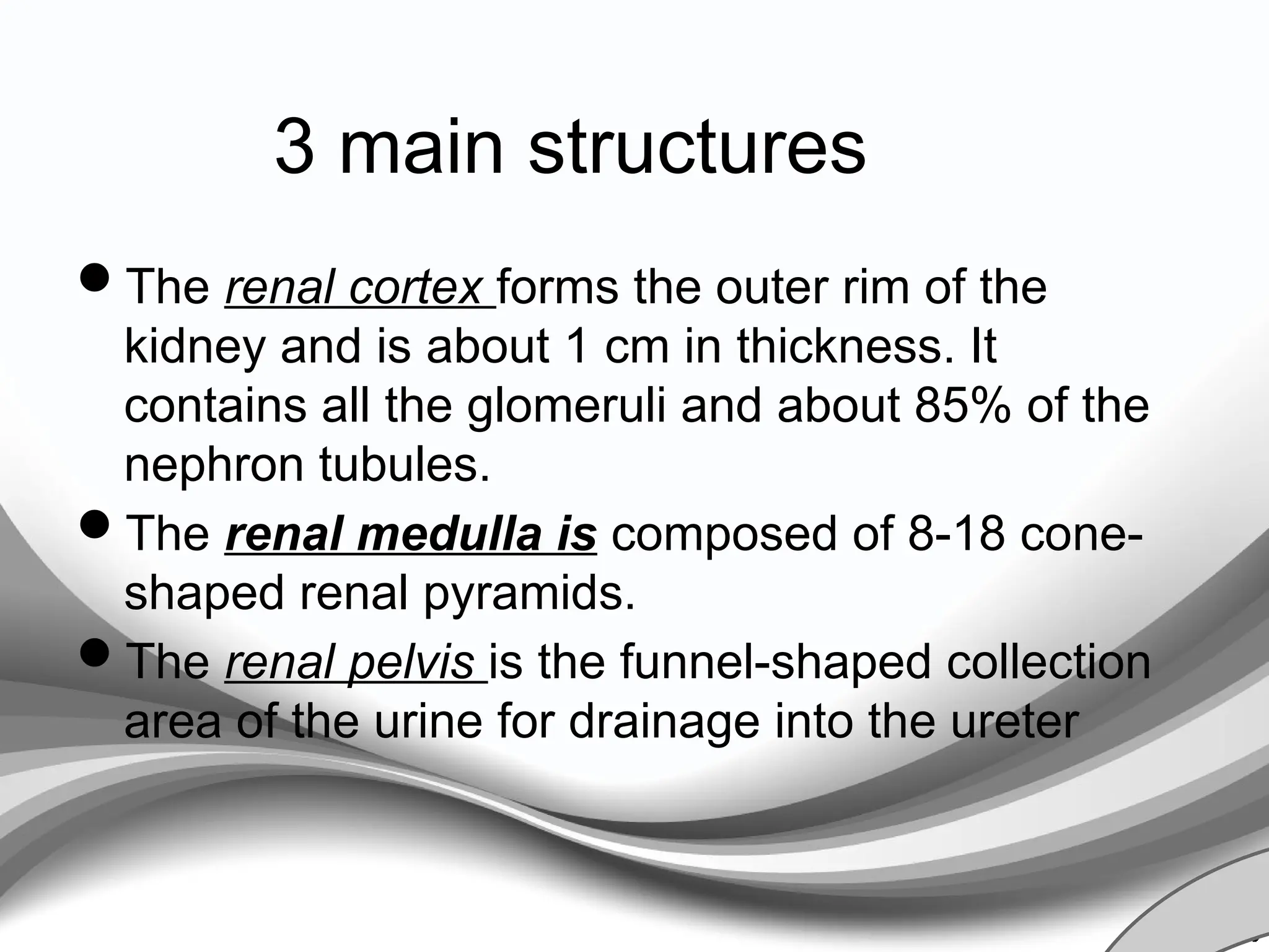 Histology of kidney.The parenchyma of each kidney is composed of ...