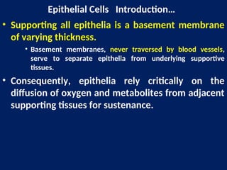 Histology Lecture Epithelial Tissue UniNiger.ppt