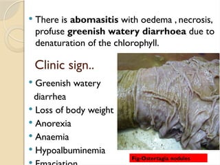 HISTOLOGY microscope.pptx information about parasites | PPTX
