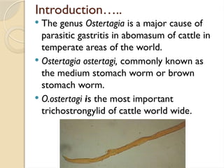 HISTOLOGY microscope.pptx information about parasites | PPTX