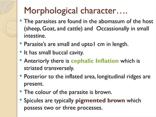 HISTOLOGY microscope.pptx information about parasites | PPTX