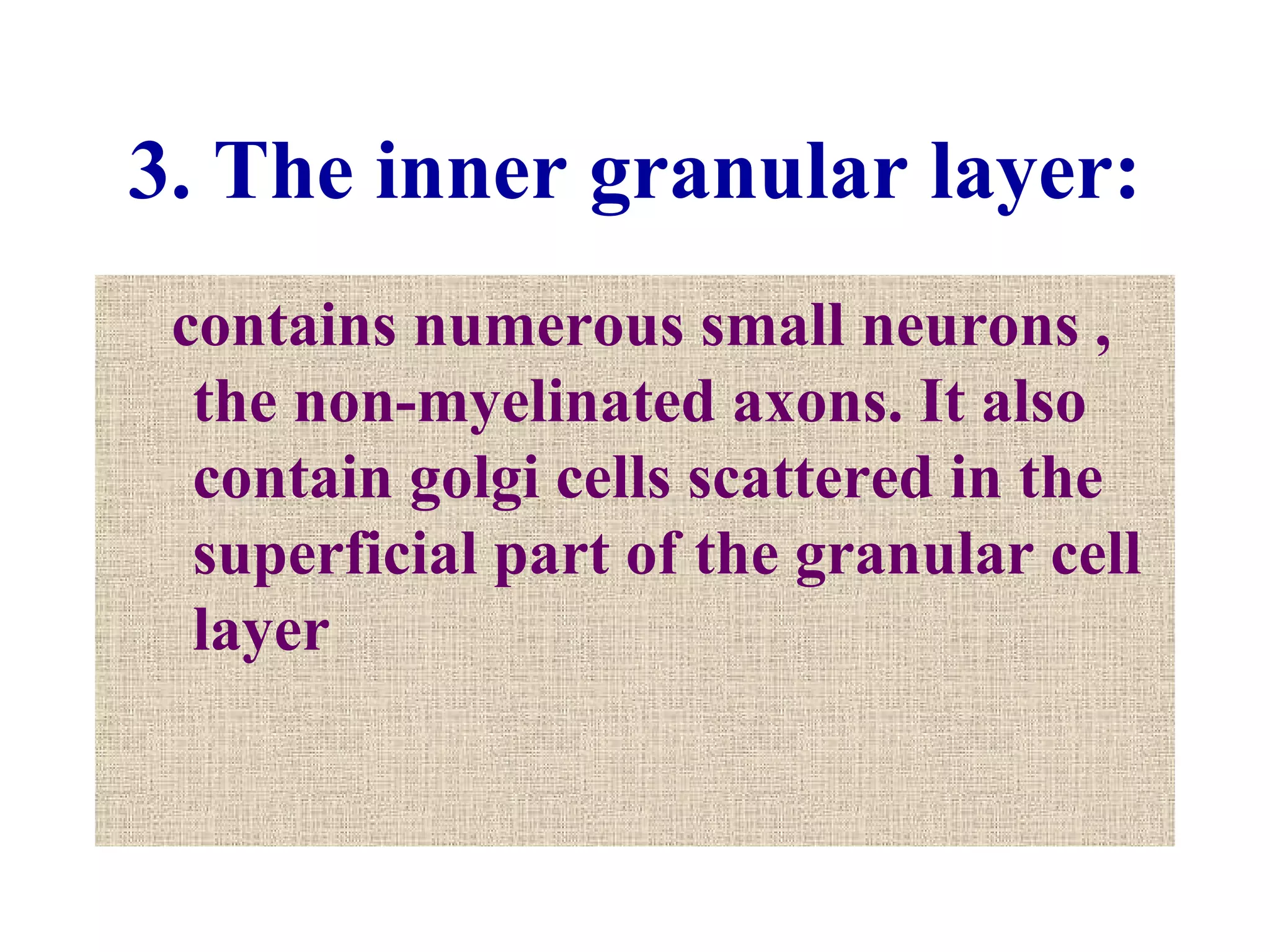 Microscopic anatomy of nervous system | PPT