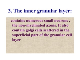 Microscopic anatomy of nervous system | PPT