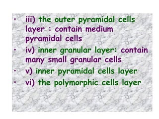 Microscopic anatomy of nervous system | PPT