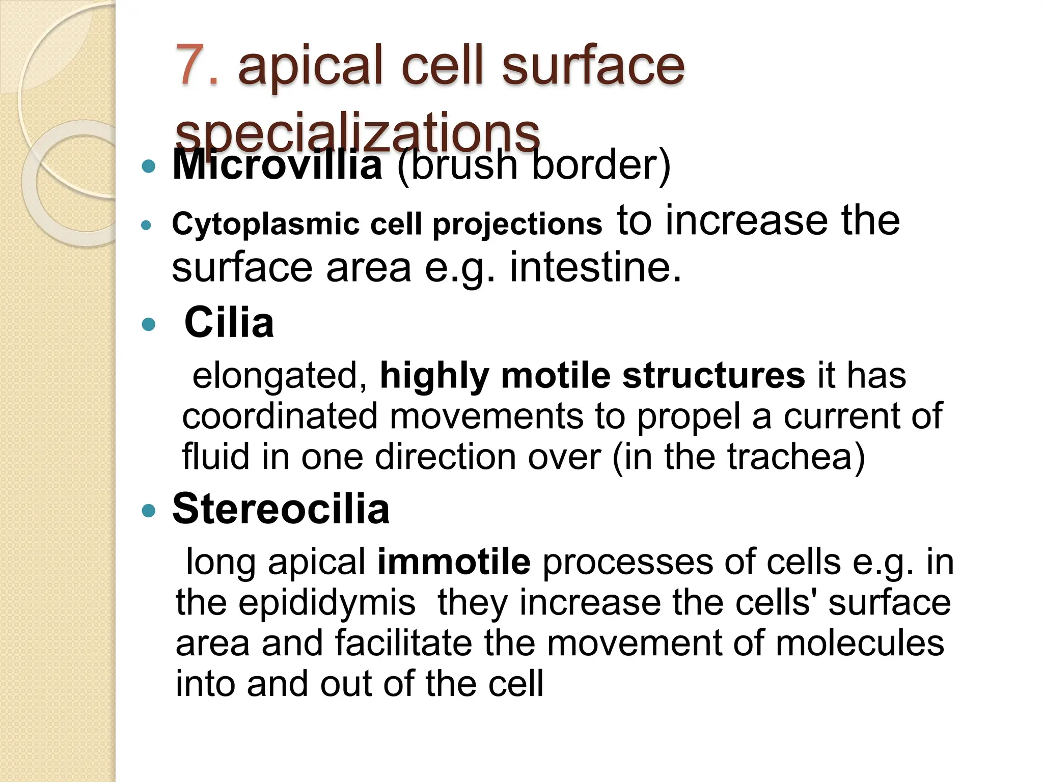 Basic Histology no.2 epithelium tissue.pptx