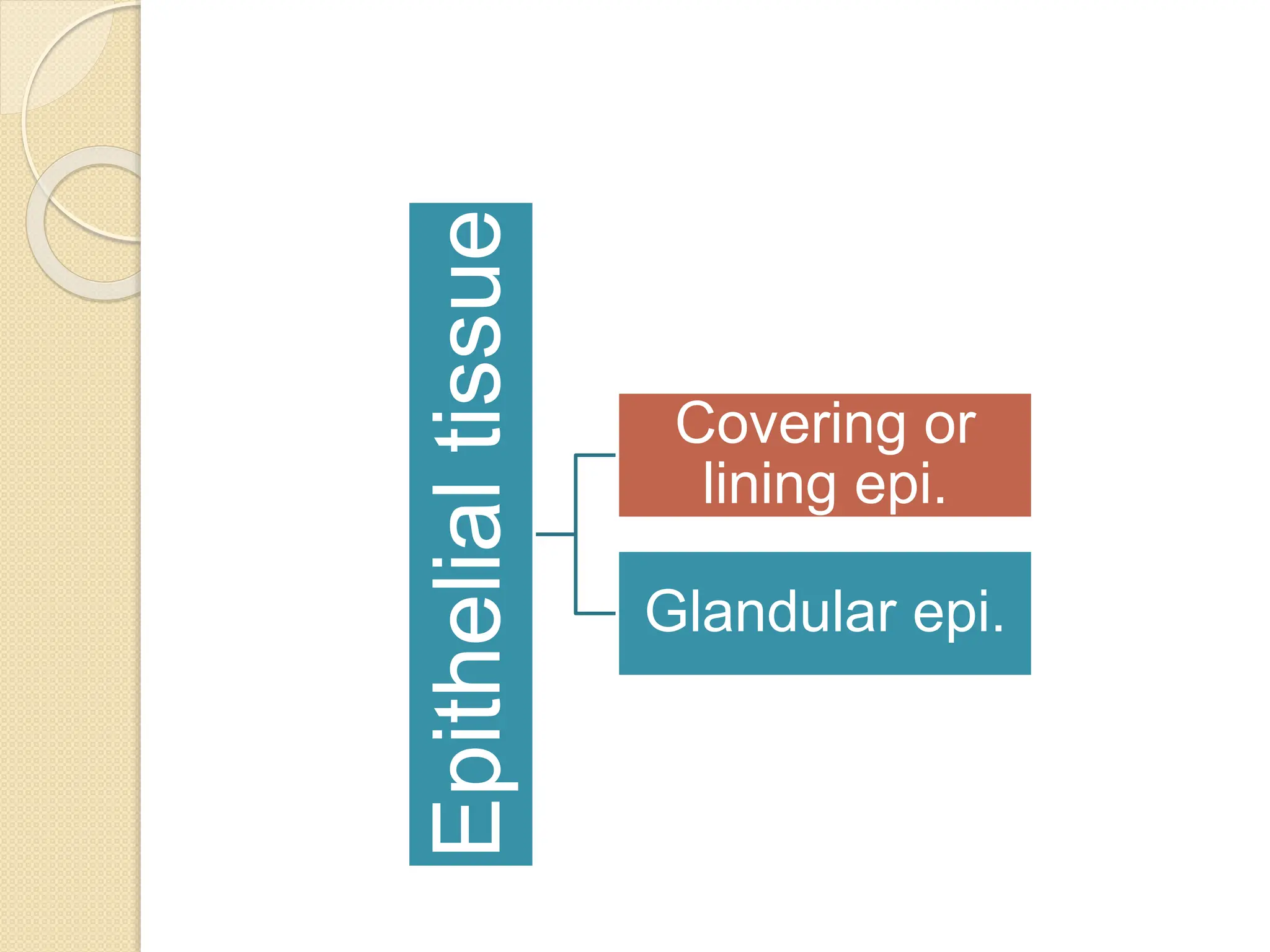 Basic Histology no.2 epithelium tissue.pptx