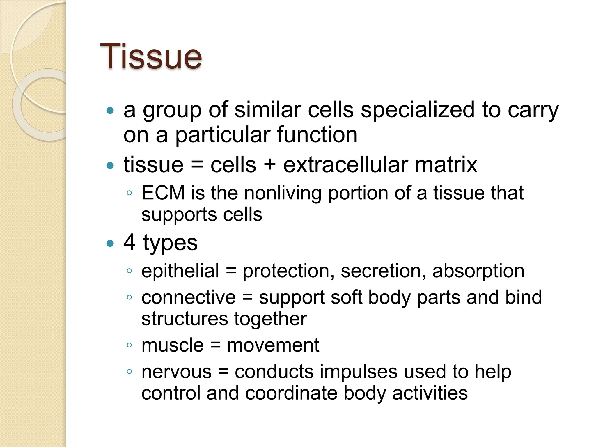 Basic Histology no.2 epithelium tissue.pptx