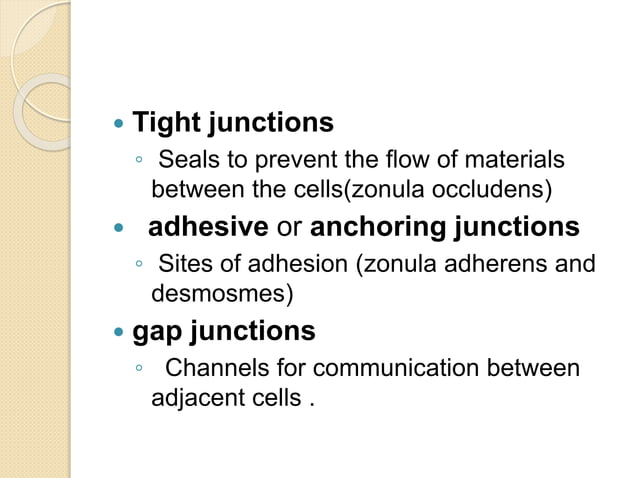 Basic Histology no.2 epithelium tissue.pptx
