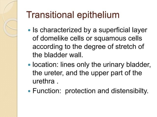 Basic Histology no.2 epithelium tissue.pptx