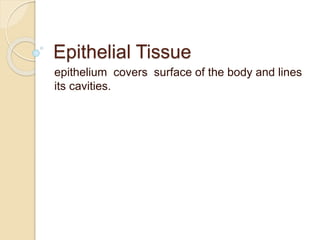 Basic Histology no.2 epithelium tissue.pptx