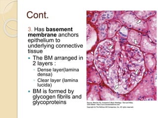 Basic Histology no.2 epithelium tissue.pptx