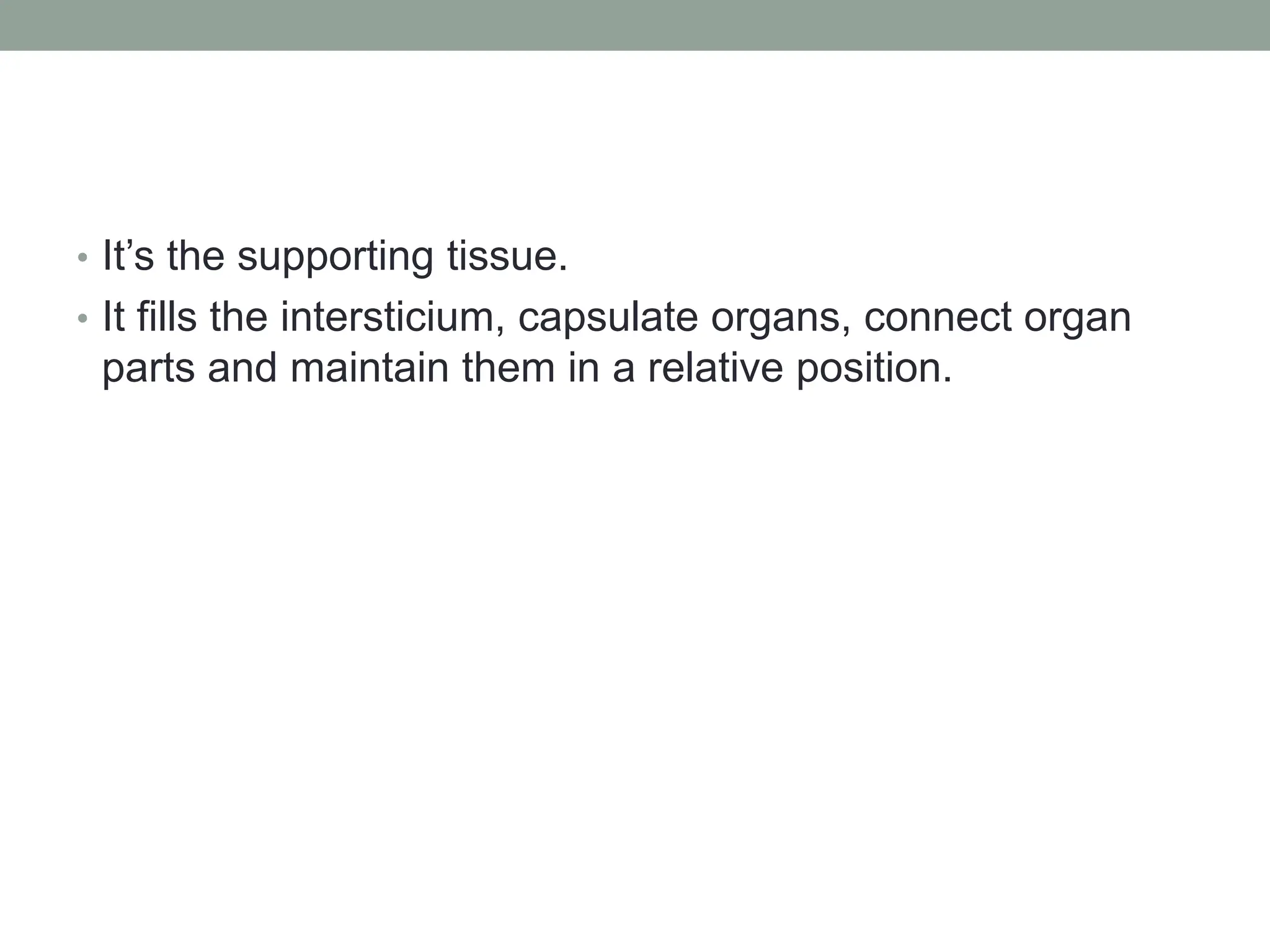 Histology number 6 CONNECTIVE TISSUE.pptx