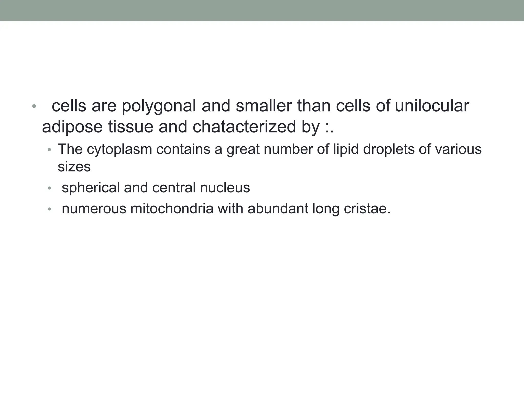 Histology number 6 CONNECTIVE TISSUE.pptx