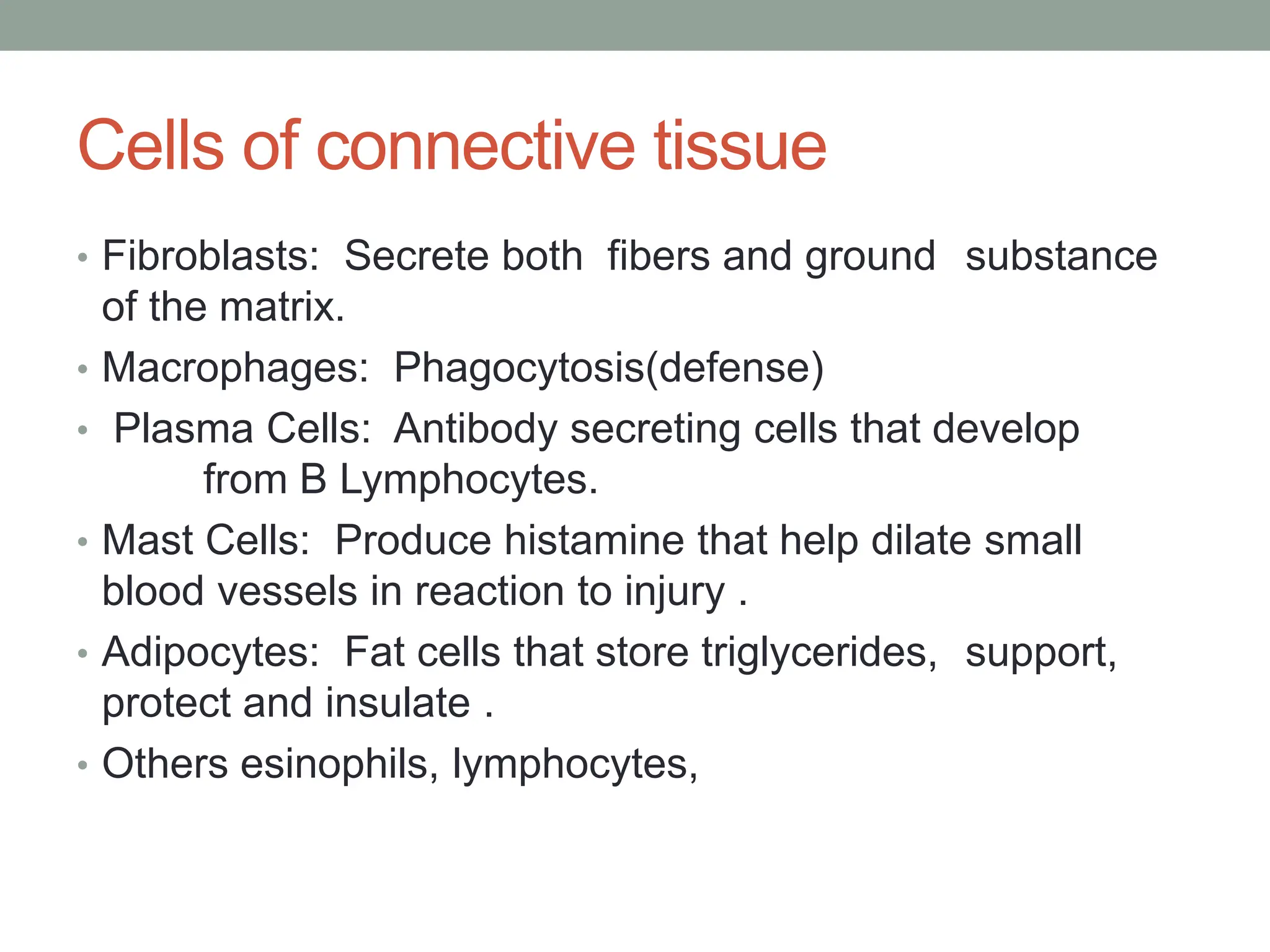 Histology number 6 CONNECTIVE TISSUE.pptx