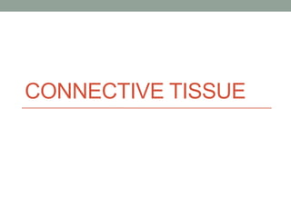 Histology number 6 CONNECTIVE TISSUE.pptx