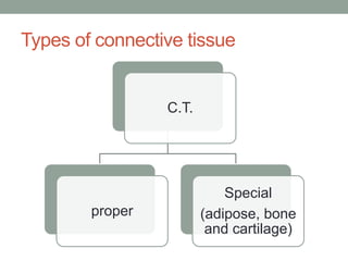 Histology number 6 CONNECTIVE TISSUE.pptx