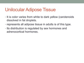 Histology number 6 CONNECTIVE TISSUE.pptx