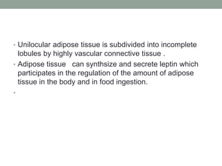 Histology number 6 CONNECTIVE TISSUE.pptx