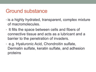 Histology number 6 CONNECTIVE TISSUE.pptx