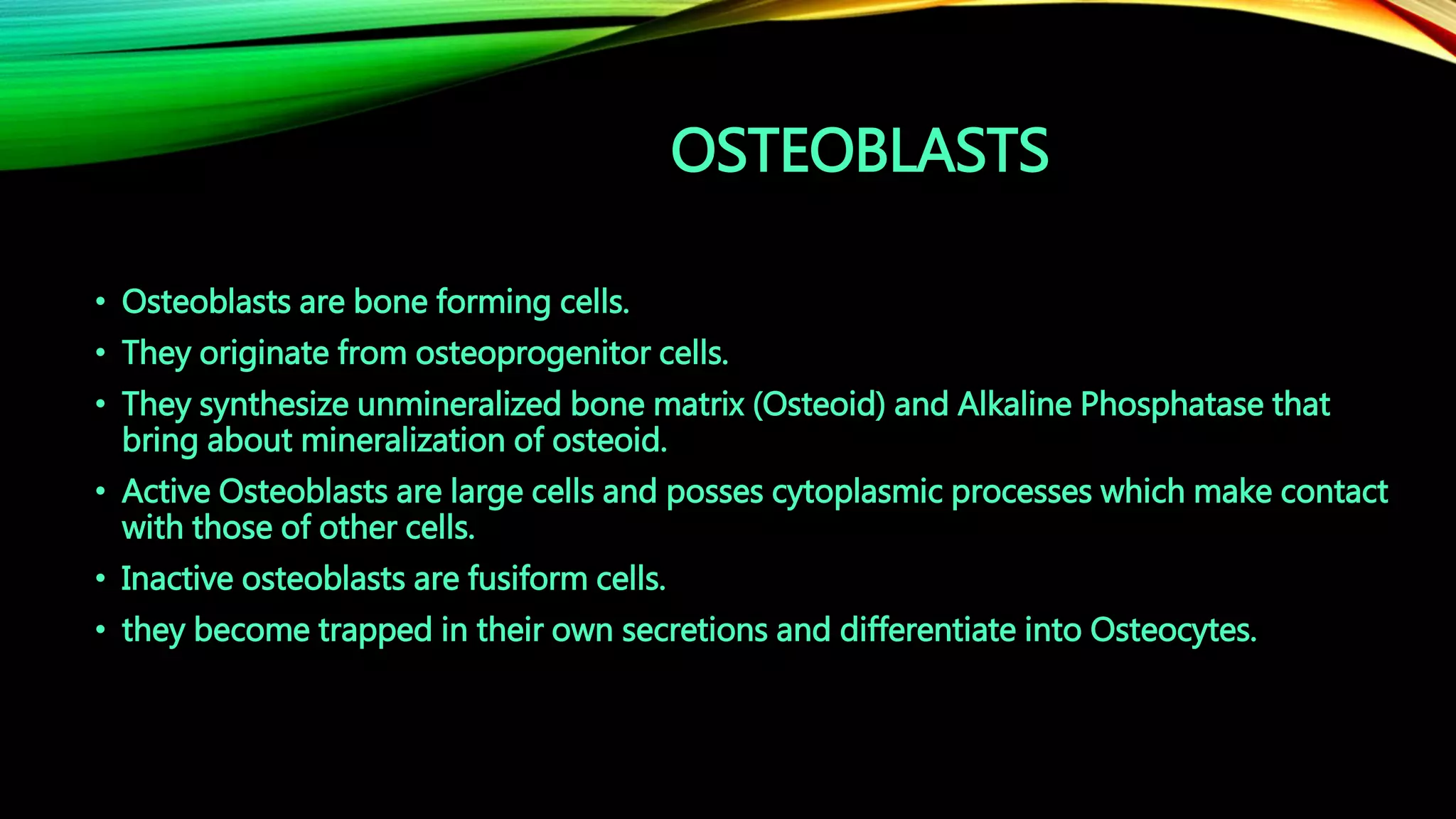 Histology of bone | PPTX