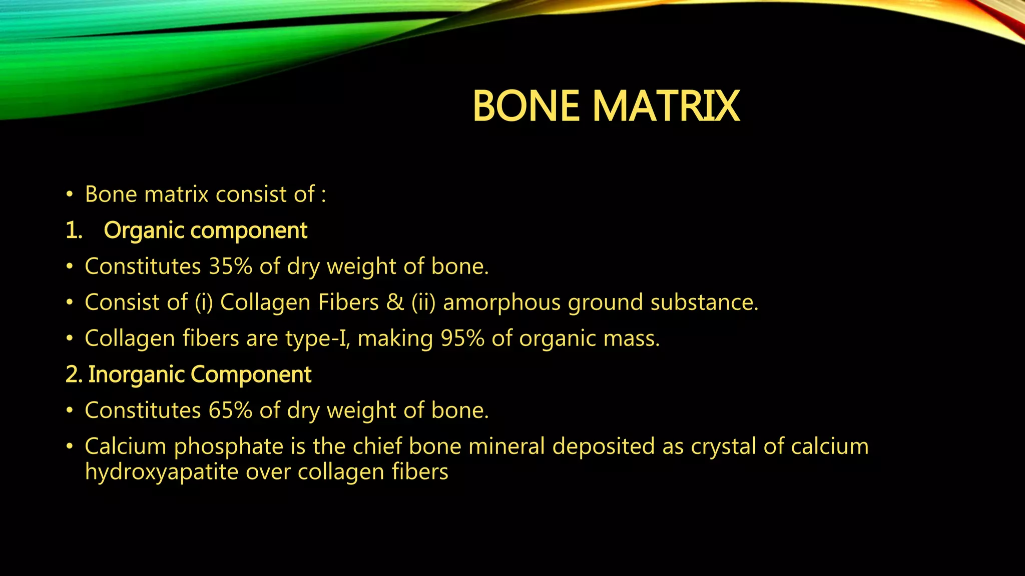Histology of bone | PPTX