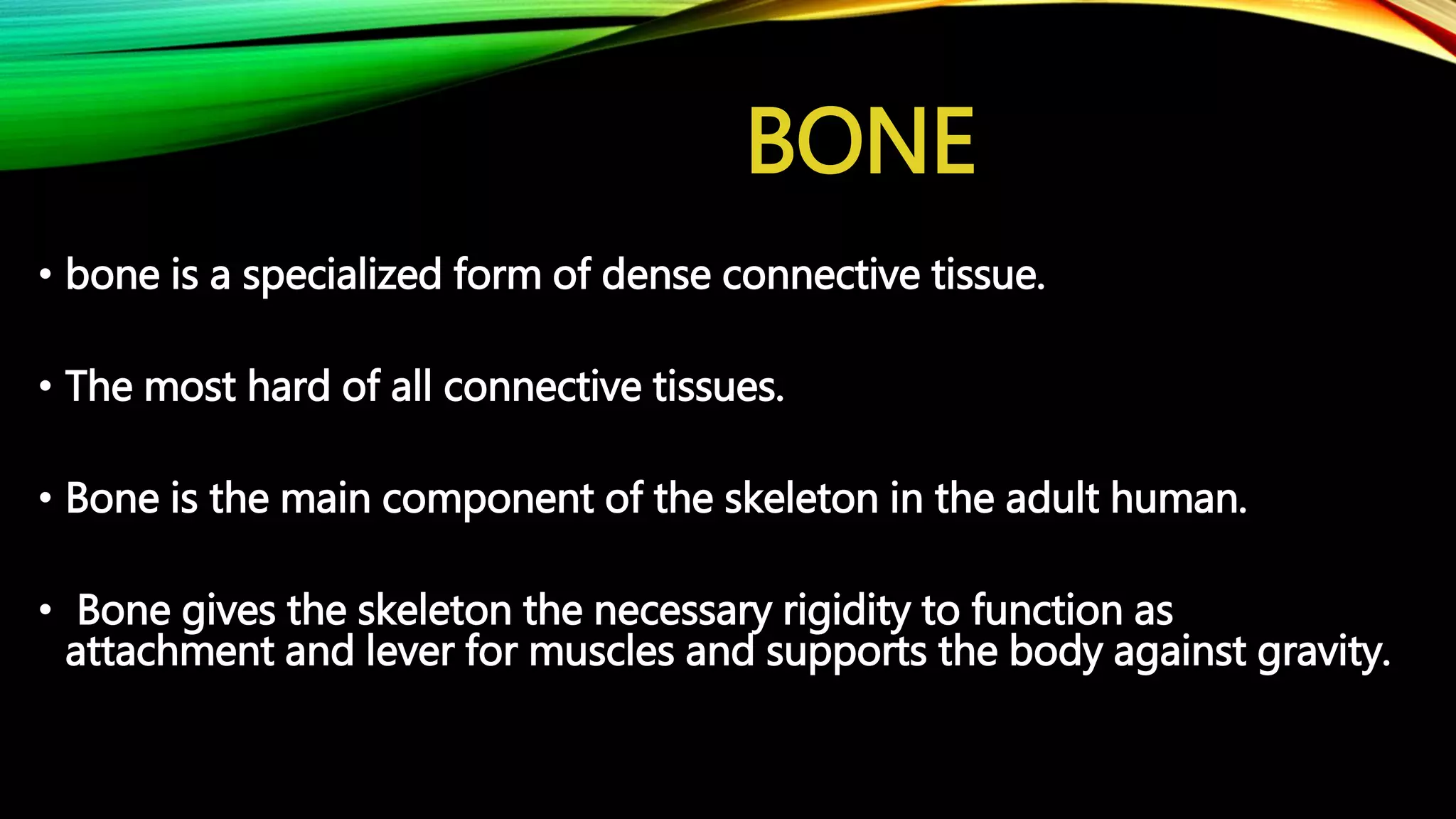 Histology of bone | PPTX