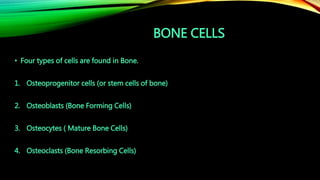 Histology of bone | PPTX